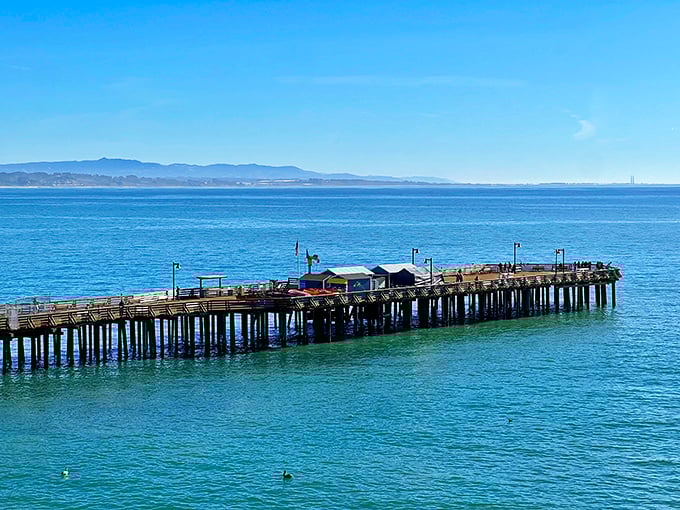 The historic Capitola Wharf stretches into Monterey Bay like a wooden runway, where seagulls strut their stuff and fishermen practice the ancient art of patience.