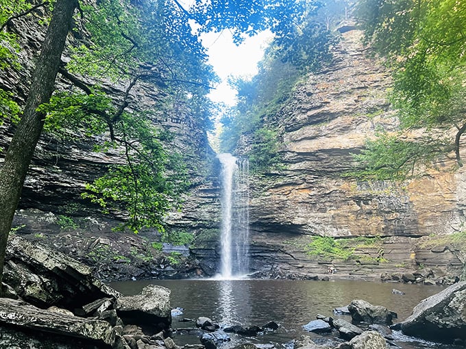 Cedar Falls doesn't just fall – it performs, plunging 95 feet through a rock amphitheater that's been perfecting its acoustics for millennia.