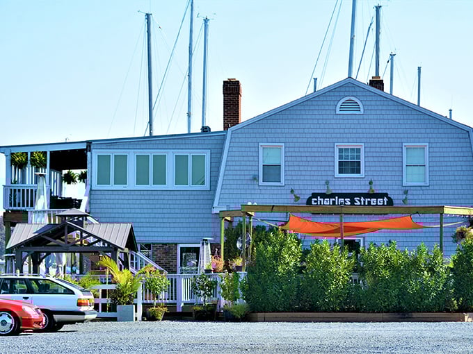 Charles Street Brasserie offers waterfront dining with a side of nautical charm – where seafood tastes fresher because you can practically wave to the fishing boats.