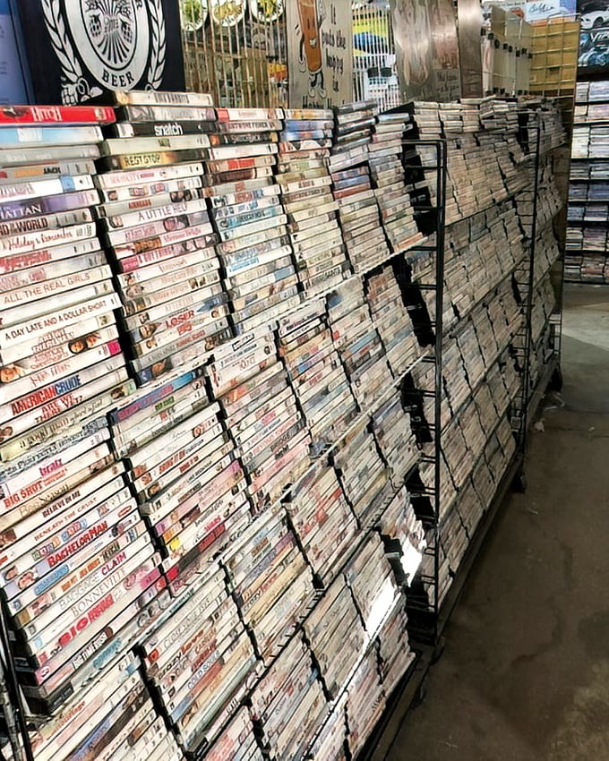 Remember when your kids wanted every movie at Blockbuster? Now you can actually afford to say yes.