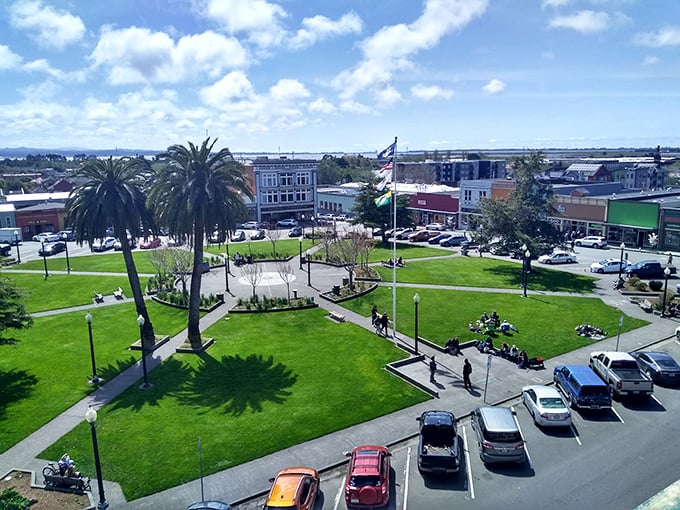 Blue skies frame Arcata's town square, where palm trees have been throwing shade since long before it became a social media term.