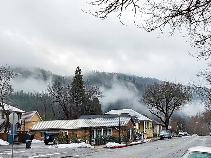 Winter magic transforms Dunsmuir into a misty mountain haven. Those fog-draped hills aren't showing off—they're just doing what comes naturally.