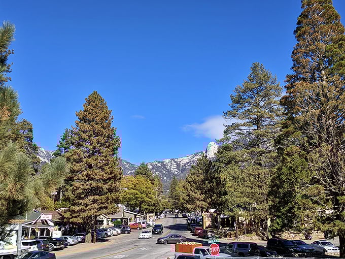 Downtown Idyllwild offers that perfect small-town panorama – majestic mountains watching over charming shops where nobody's in a hurry and the scenery steals the show.