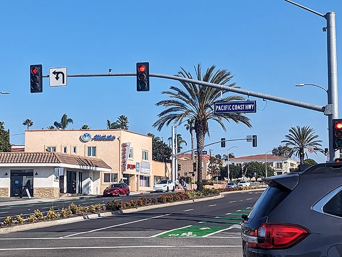 Pacific Coast Highway isn't just a road—it's California's main artery, pumping sunshine and palm trees through the heart of beach towns.