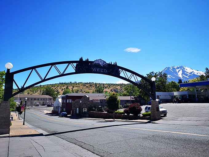 The iconic Weed arch welcomes visitors with small-town charm and big mountain views – a gateway to adventures that defy the town's compact size.