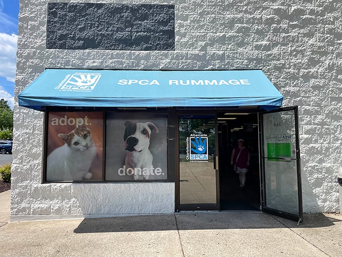 "Adopt. Donate." Simple words with profound impact greet visitors at the entrance, where every purchase helps fund animal rescue efforts across the region.