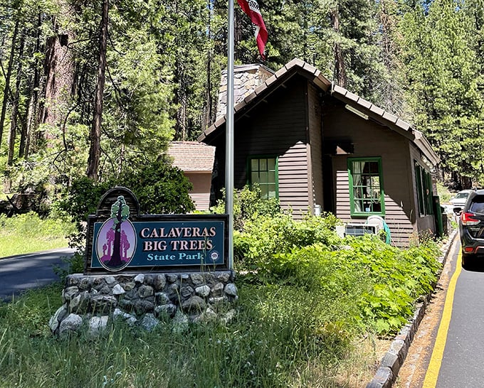 Welcome to your new favorite secret – this entrance sign might as well say "Narnia, this way."