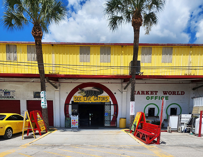 The entrance says it all – part carnival barker, part Florida kitsch. Where else can you shop for antiques AND see live gators in the same afternoon?