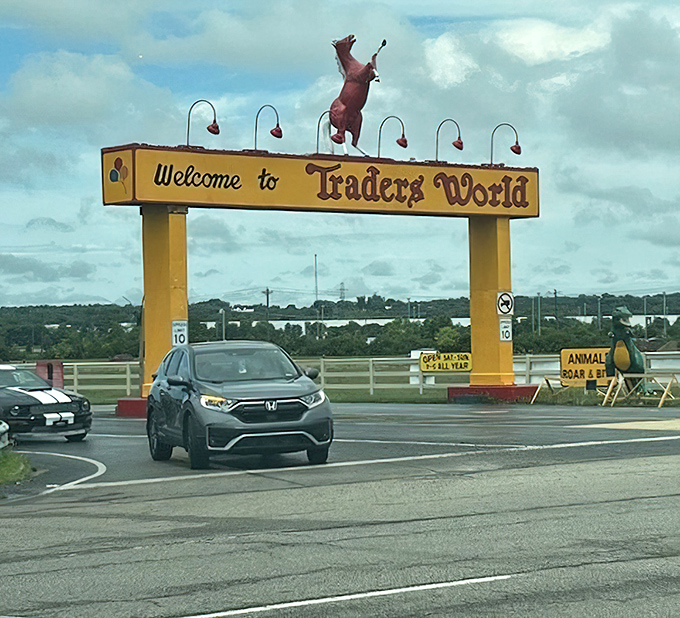 That rearing horse atop the yellow welcome sign isn't just decoration—it's signaling that you've arrived at the mothership of secondhand finds.