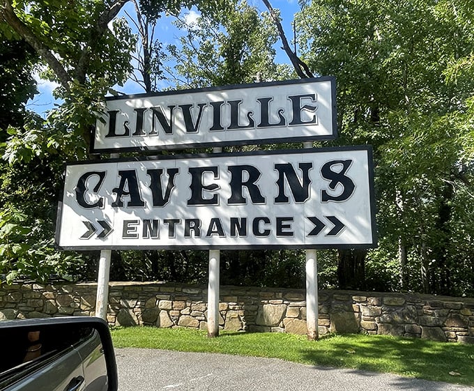 Like finding the entrance to Narnia, this classic roadside sign promises subterranean wonders just beyond the Blue Ridge Parkway.
