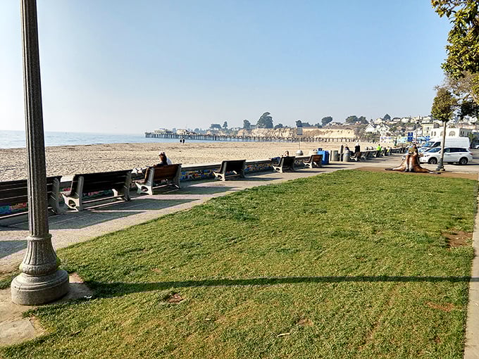 The perfect spot to contemplate life's big questions or simply watch seagulls steal someone else's lunch.