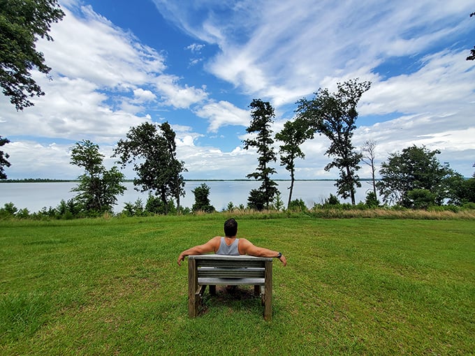 The ultimate "out of office" reply – a lone bench facing Lake Seminole's vast waters, where emails can't find you.