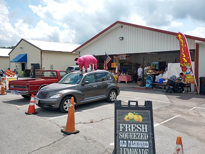 That classic roadside sign against the Tennessee blue sky – the universal symbol for "turn here, bargain hunters!"