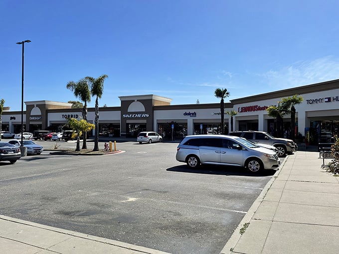 Palm trees and parking spaces create the quintessential California shopping experience—casual luxury with a side of coastal breeze.