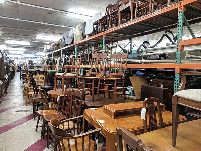 A forest of wooden chairs awaits adoption – each with its own personality and slightly different idea of what "comfortable" means.