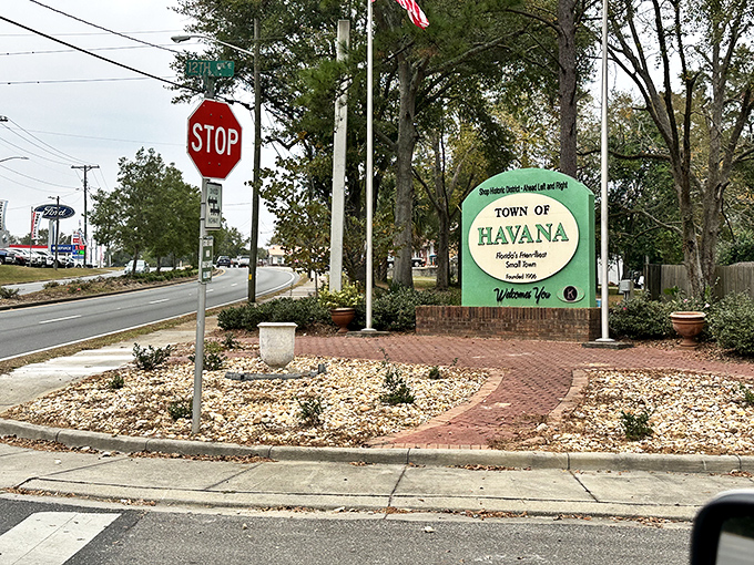 "Florida's Friendliest Small Town" isn't just a slogan—it's a promise delivered with Southern hospitality and a brick-lined welcome that sets the tone.