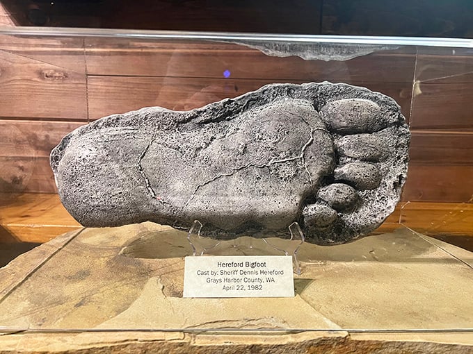 This massive footprint cast from Grays Harbor County isn't just big—it's "I need custom shoes and can never find slippers at Christmas" big.