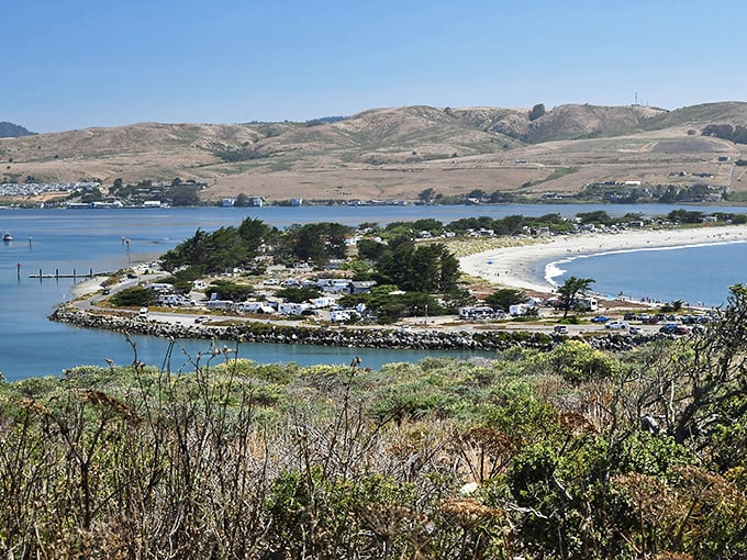Nature's perfect horseshoe – Doran Beach curves around the bay like it's giving the Pacific Ocean a gentle hug while protecting the boats within.