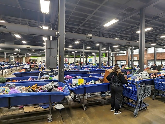 Blue bins as far as the eye can see—this isn't shopping, it's an archaeological dig through America's recent past, with treasures waiting to be unearthed.