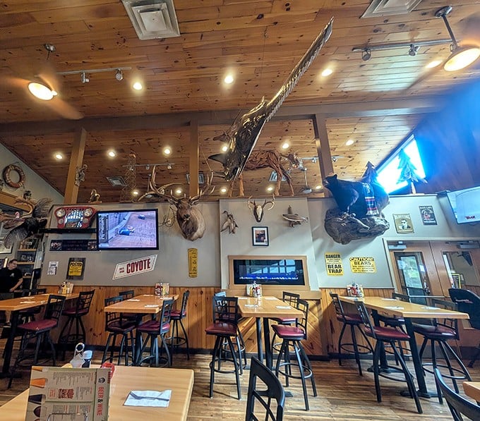 Where hunting lodge meets tiki bar in the most delightful identity crisis you'll ever encounter. Those mounted trophies have seen some stories unfold beneath that gorgeous pine ceiling.