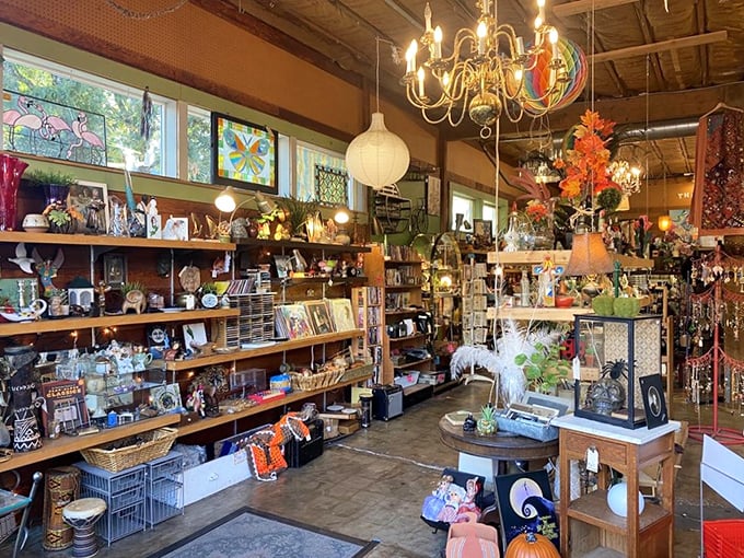 Step inside and the sensory overload begins – vintage chandeliers illuminate a wonderland of collectibles that would make Marie Kondo hyperventilate.