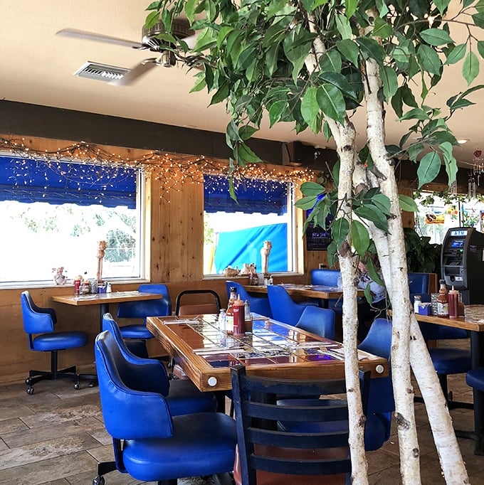 Step into comfort where blue chairs and warm lighting create the perfect backdrop for memorable meals.