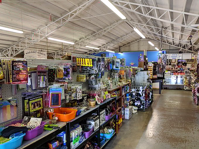 Aisles that seem to stretch into infinity, each shelf a miniature museum of everyday Americana. The thrill of discovery awaits.