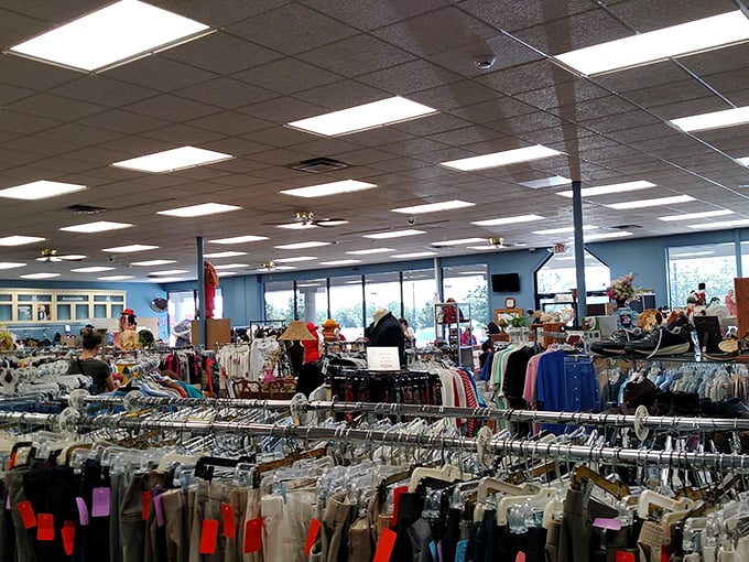 Not your grandmother's cluttered thrift store—wide aisles and organized displays make treasure hunting a civilized adventure.