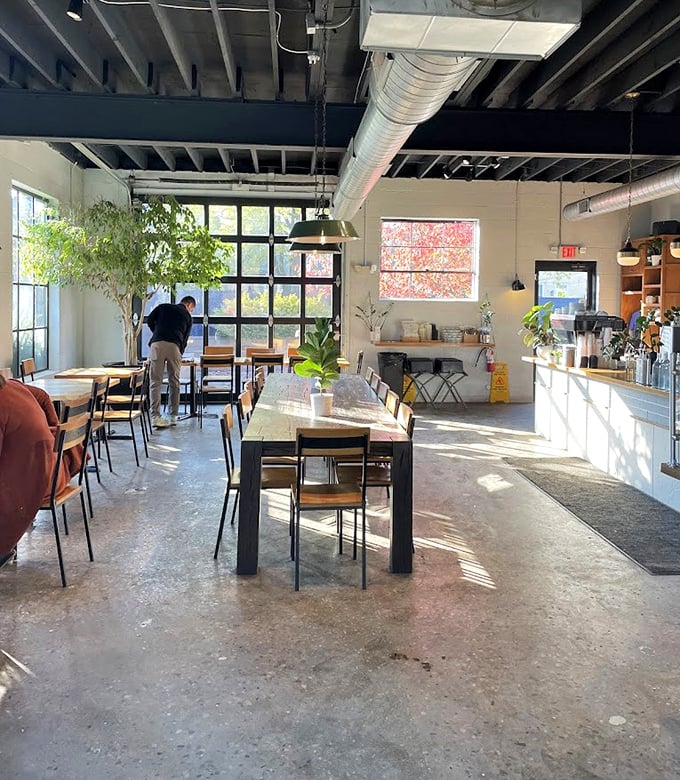 Sunshine streams through windows illuminating concrete floors and exposed beams. This converted garage space feels both airy and intimate—industrial bones with a warm heart.