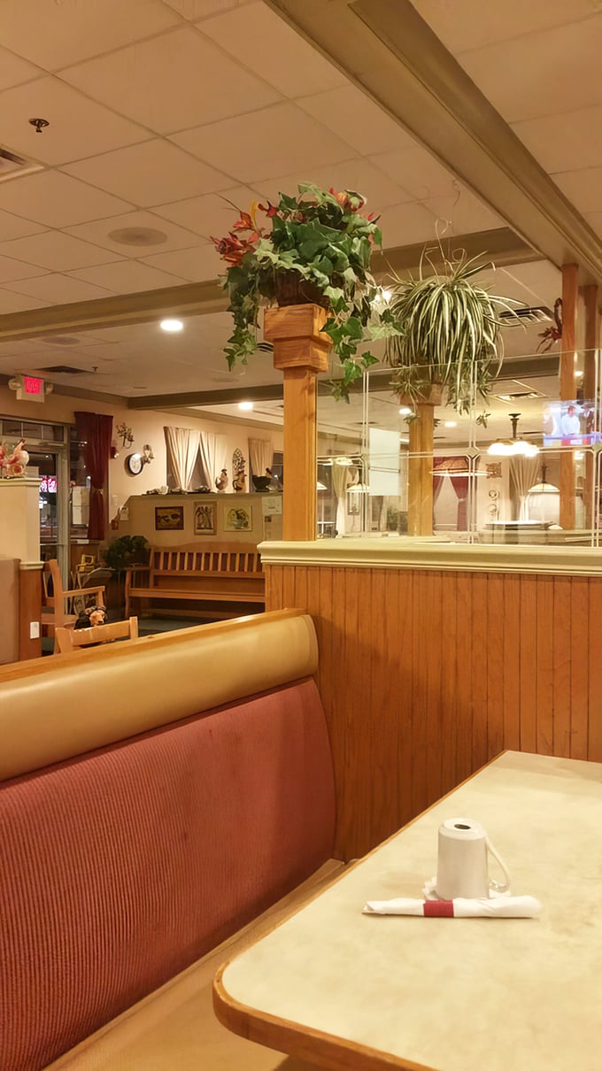 Cozy booths, hanging plants, and wooden dividers create that perfect diner atmosphere where comfort arrives before your coffee does.