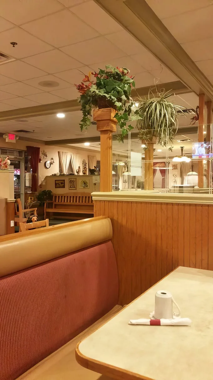 Cozy booths, hanging plants, and wooden dividers create that perfect diner atmosphere where comfort arrives before your coffee does.