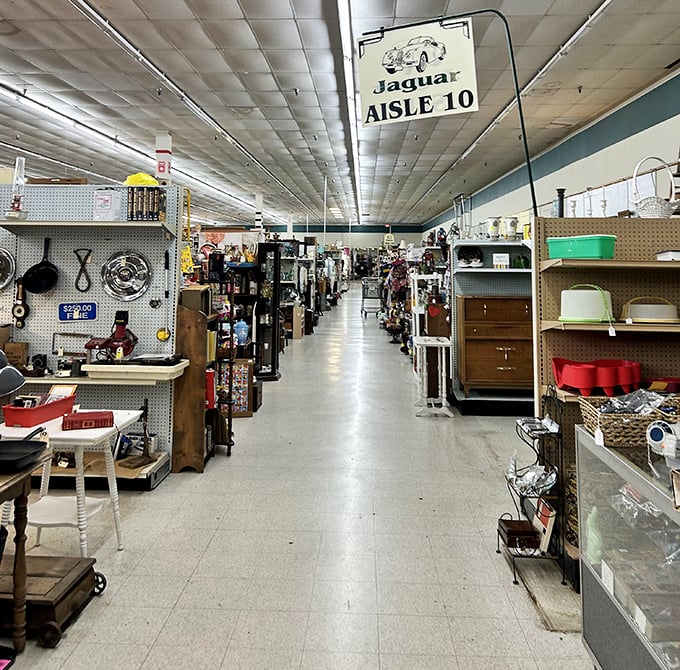 Jaguar Aisle 10 stretches into infinity, promising discoveries at every turn. The mall's clever car-themed navigation system prevents treasure hunters from getting lost.