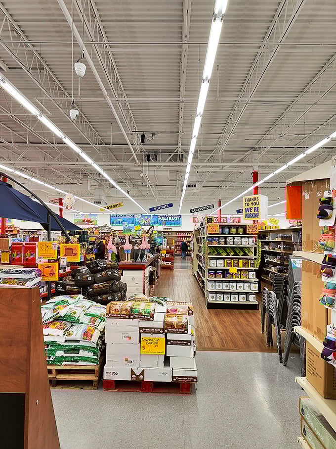 Treasure hunt central! Wide aisles and bright lighting make the quest for deals less chaotic than Black Friday, but with all the thrill of scoring big.