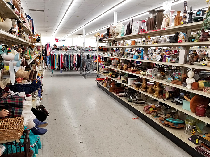 Aisle after aisle of possibility – where your next conversation piece is hiding between someone else's "just couldn't make it work."