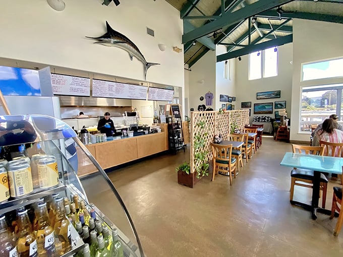 High ceilings, mounted marlins, and an open kitchen where culinary magic happens. The kind of place where you can watch your lunch being prepared while contemplating the fish that got away.