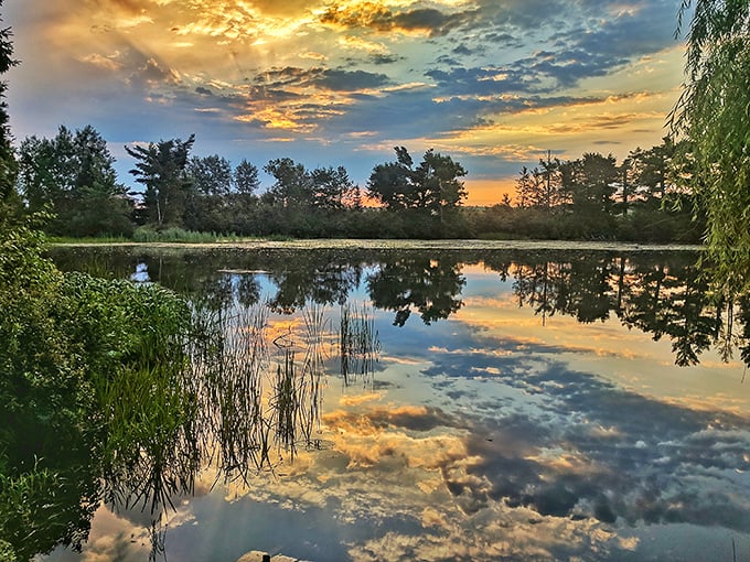Nature's perfect mirror – Hayward's lakes create magical sunsets where the sky meets its twin in crystal-clear waters.