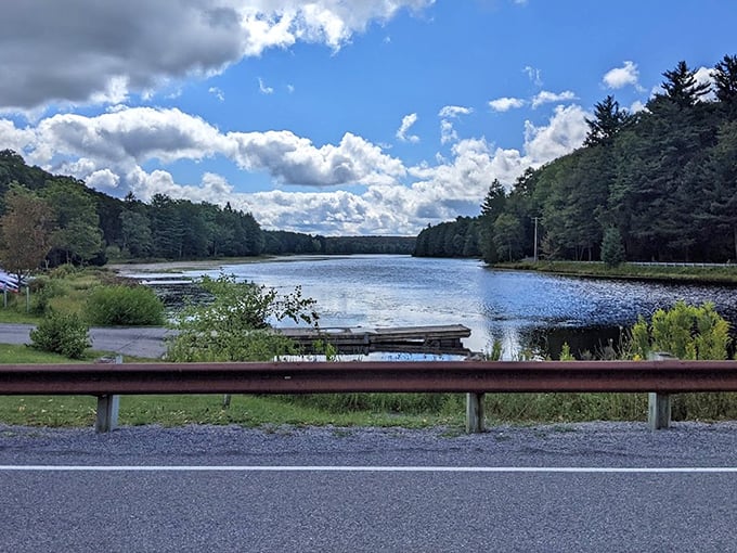 Mirror, mirror on the lake—who's the fairest view of all? Black Moshannon's reflective waters answer that question with stunning clarity. 