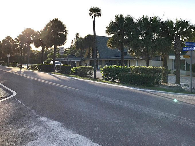Palm trees line Sanibel's main drag like nature's welcome committee. No neon, no high-rises—just island charm that whispers rather than shouts.