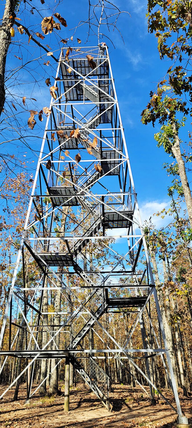 This observation tower isn't just stairs—it's a stairway to heaven for view-chasers. Each step brings you closer to what eagles see every day without even trying.