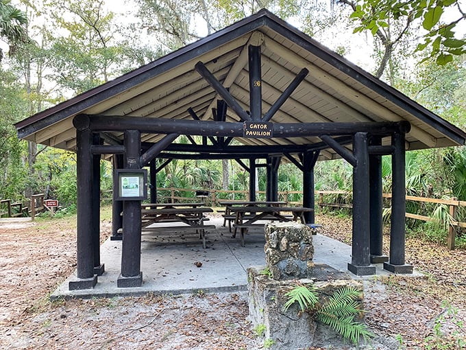 The Gator Pavilion stands as a testament to the CCC's craftsmanship, offering shade and serenity amid Florida's wilderness theater.