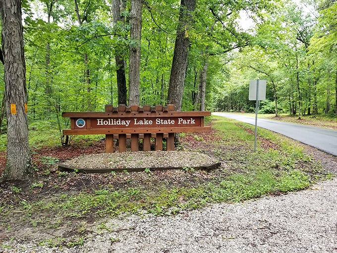 Nature's welcome sign doesn't need neon lights. This wooden marker promises adventures that no smartphone notification could ever deliver.