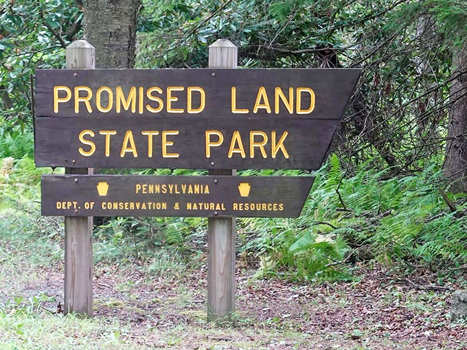 The wooden sign stands as a promise itself – beyond this point lies natural splendor that makes your smartphone wallpaper look like amateur hour.