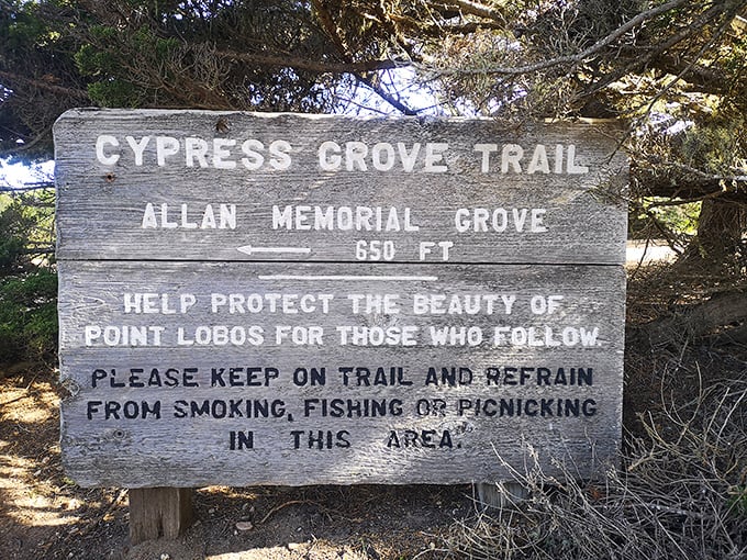 "Help protect the beauty" – this weathered sign serves as a gentle reminder that paradise needs guardians. The best souvenirs are memories, not mementos.