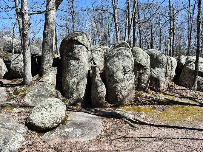 The elephant parade stands frozen in time, their granite forms emerging from the forest like ancient sentinels guarding Missouri's geological treasures.