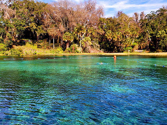 The springs' legendary clarity isn't Photoshopped—this is real-life Florida magic where you can count sand grains from the surface.