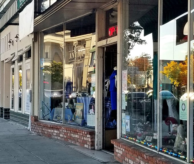 Americana proudly displayed behind glass, with brick foundations that have witnessed decades of Alameda history. The "OPEN" sign never looked so inviting.