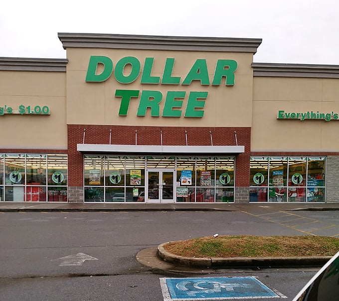 Morning light catches the familiar storefront where Morristown locals start their day. The parking lot tells the story—this isn't your average Dollar Tree.