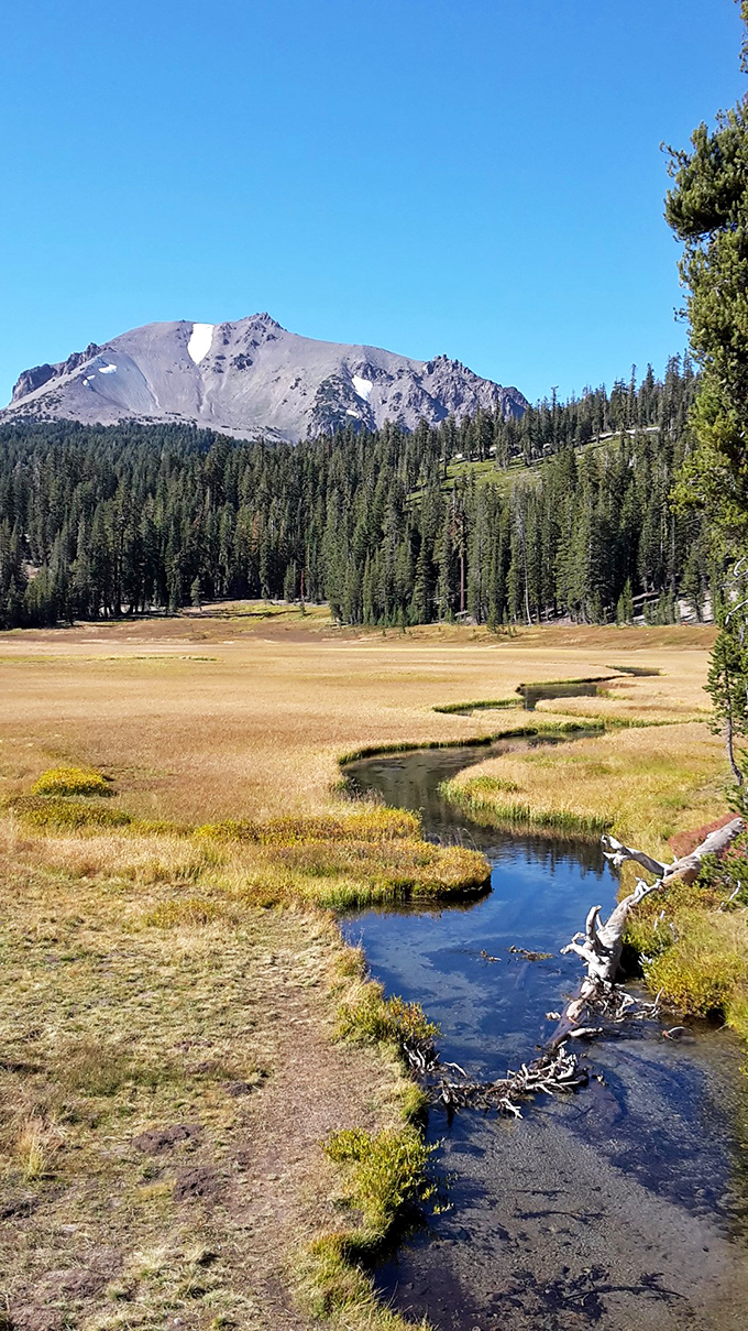 Meandering like a daydream, Kings Creek carves its patient path through golden meadows beneath Lassen Peak's watchful gaze.