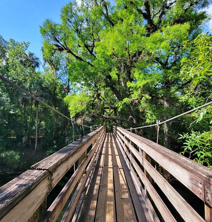 This suspension bridge isn't just a crossing – it's a time machine built by the CCC boys who clearly never heard of vertigo.