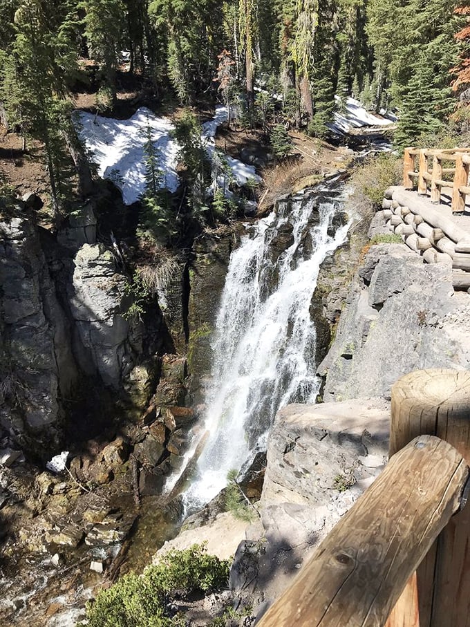 Spring's dramatic performance – melting snow transforms this peaceful creek into a thundering spectacle viewed safely from the wooden observation platform.